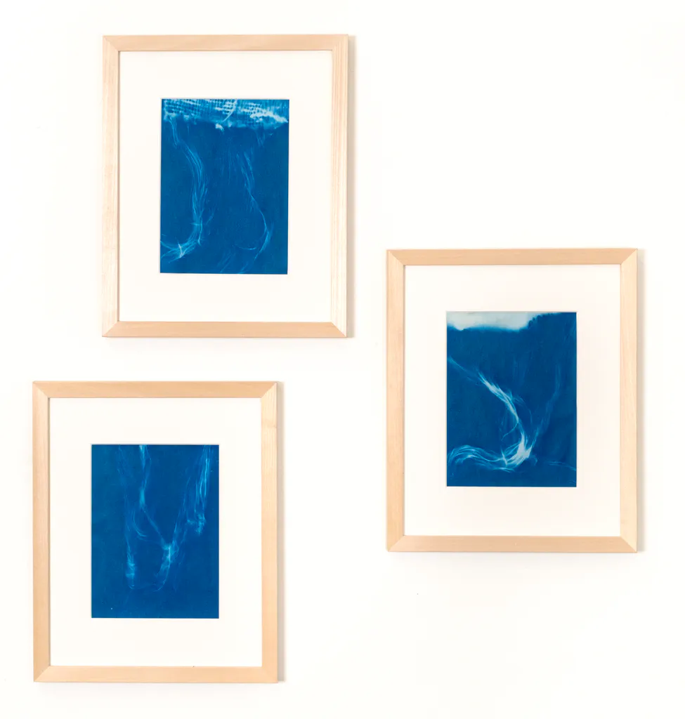 Cyanotypes ‹ Works on Paper ‹ Works ‹ Claudia Hill